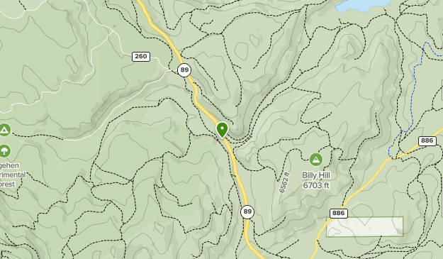 Reno/Tahoe running | List | AllTrails