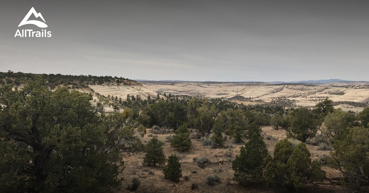 Desert Dayz | List | AllTrails