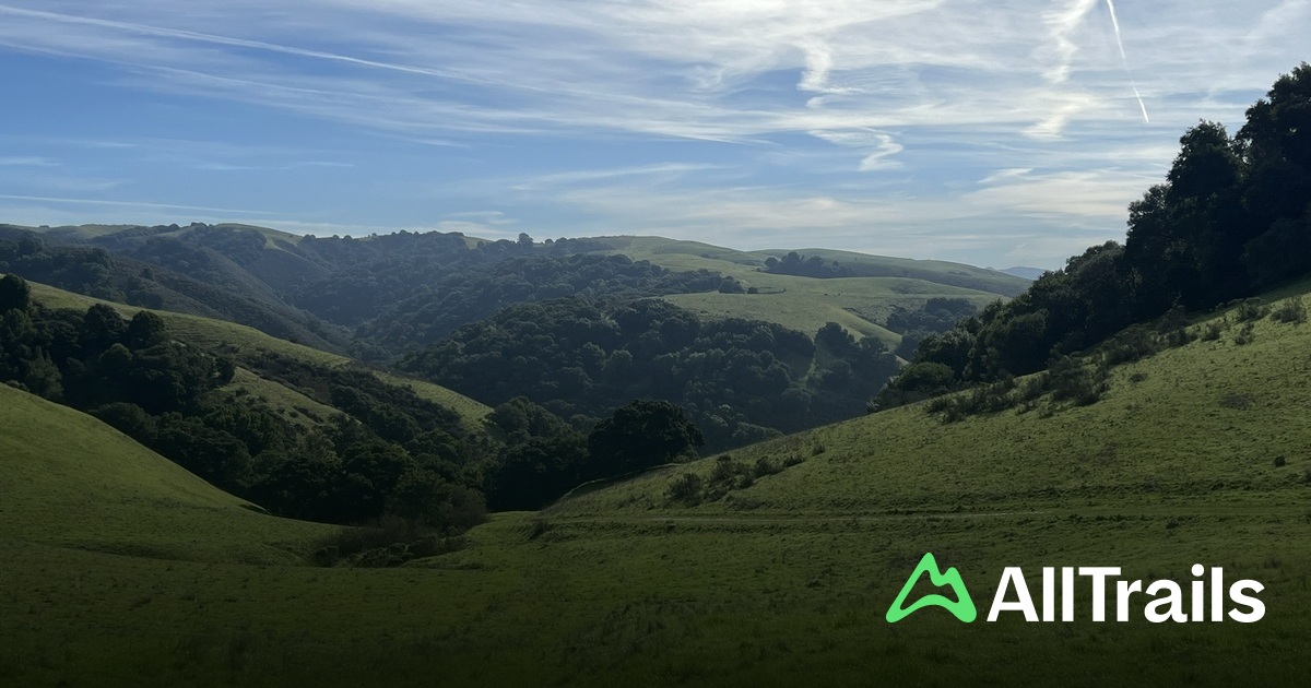 East Bay Running Trails | List | AllTrails