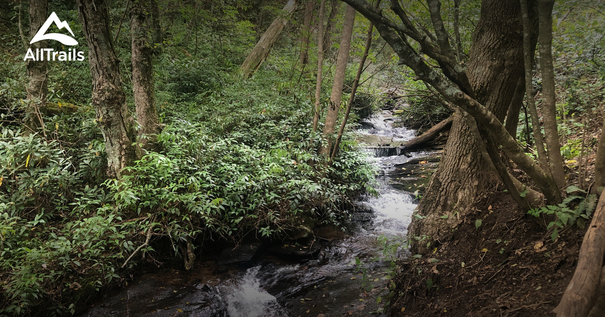 Deep Gap Trails | List | AllTrails