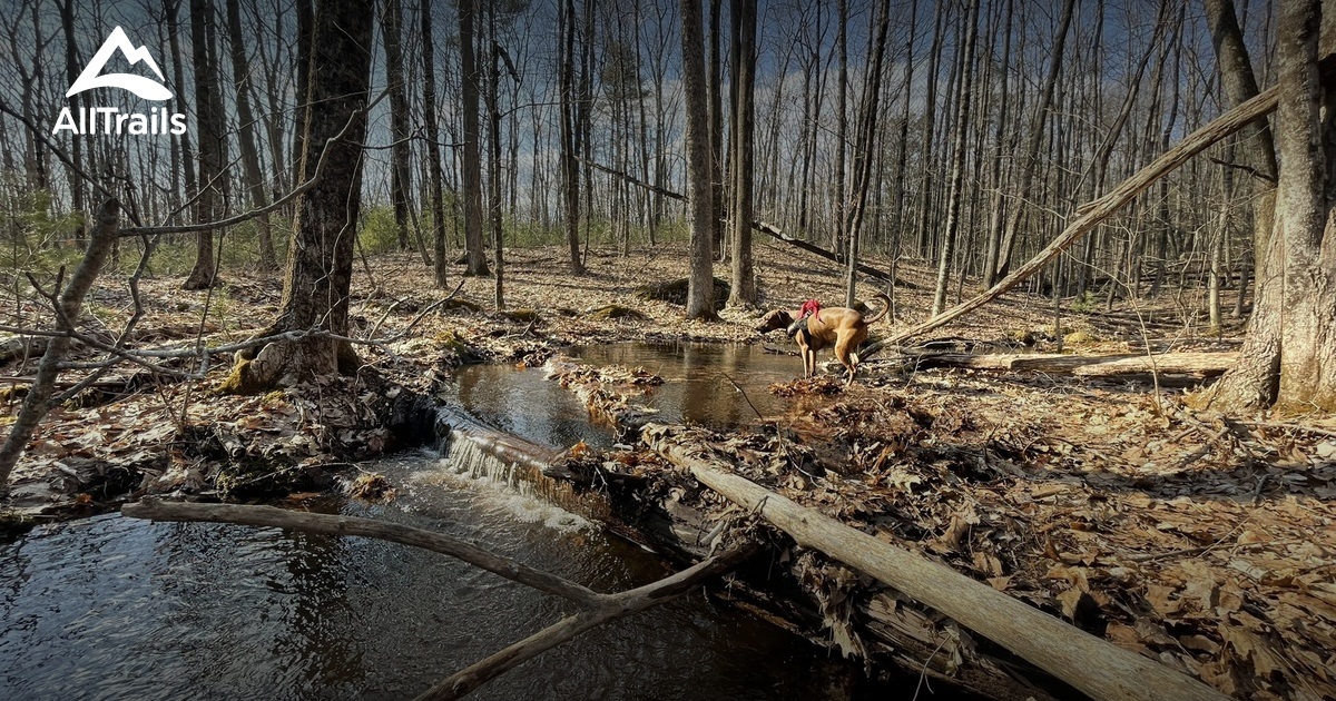 Hubbard River Trail ? | List | AllTrails