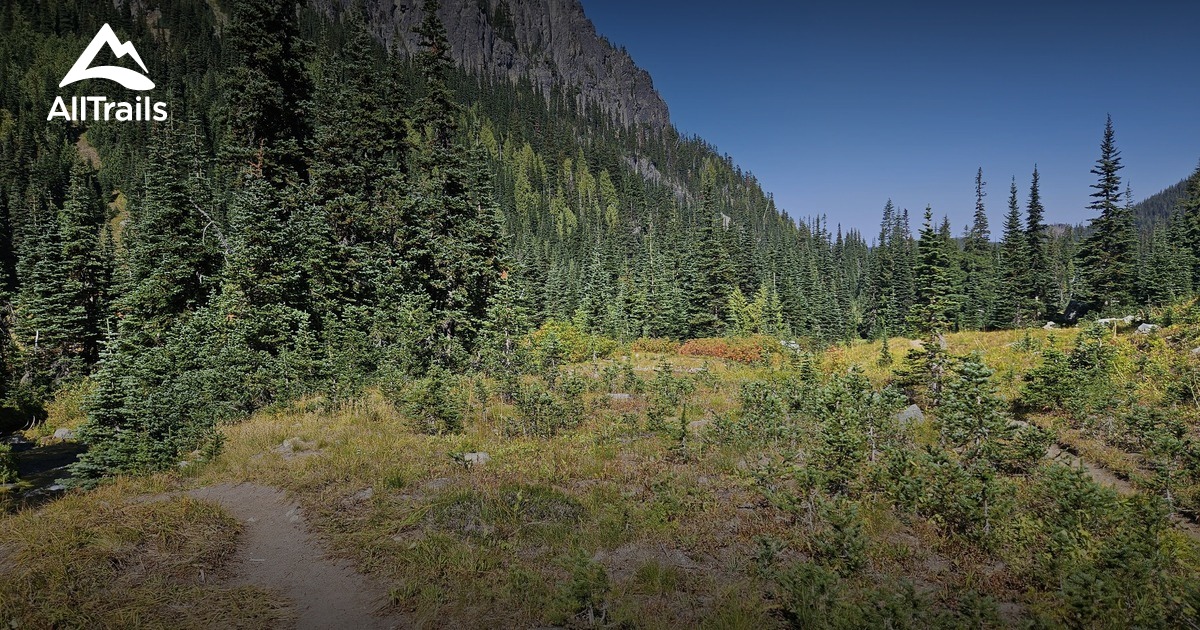 Mt Rainier Sunrise trails | List | AllTrails