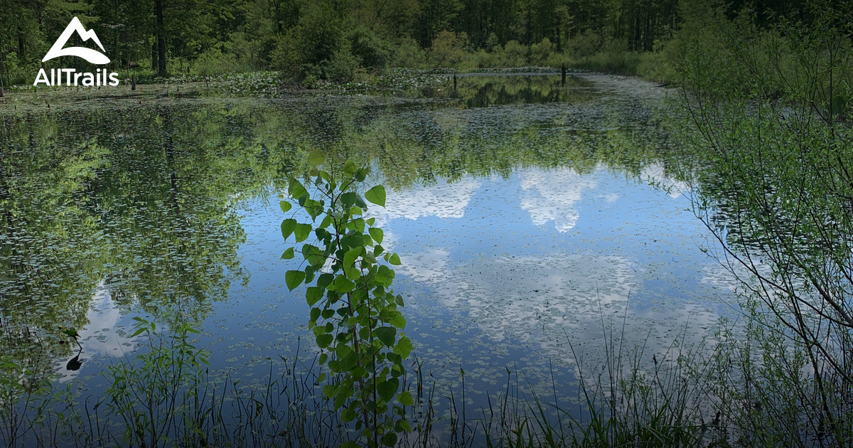 Lake Metro Parks | List | AllTrails