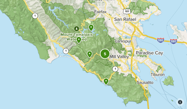Mt. Tam/ Muir Woods | List | AllTrails