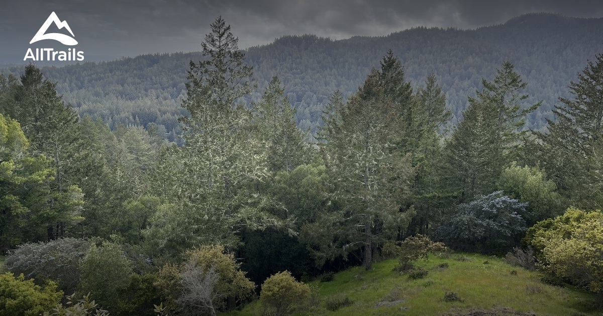 Mt. Tam/ Muir Woods | List | AllTrails