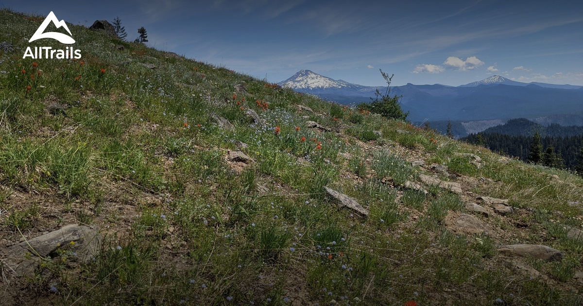 McKenzie/Blue River | List | AllTrails