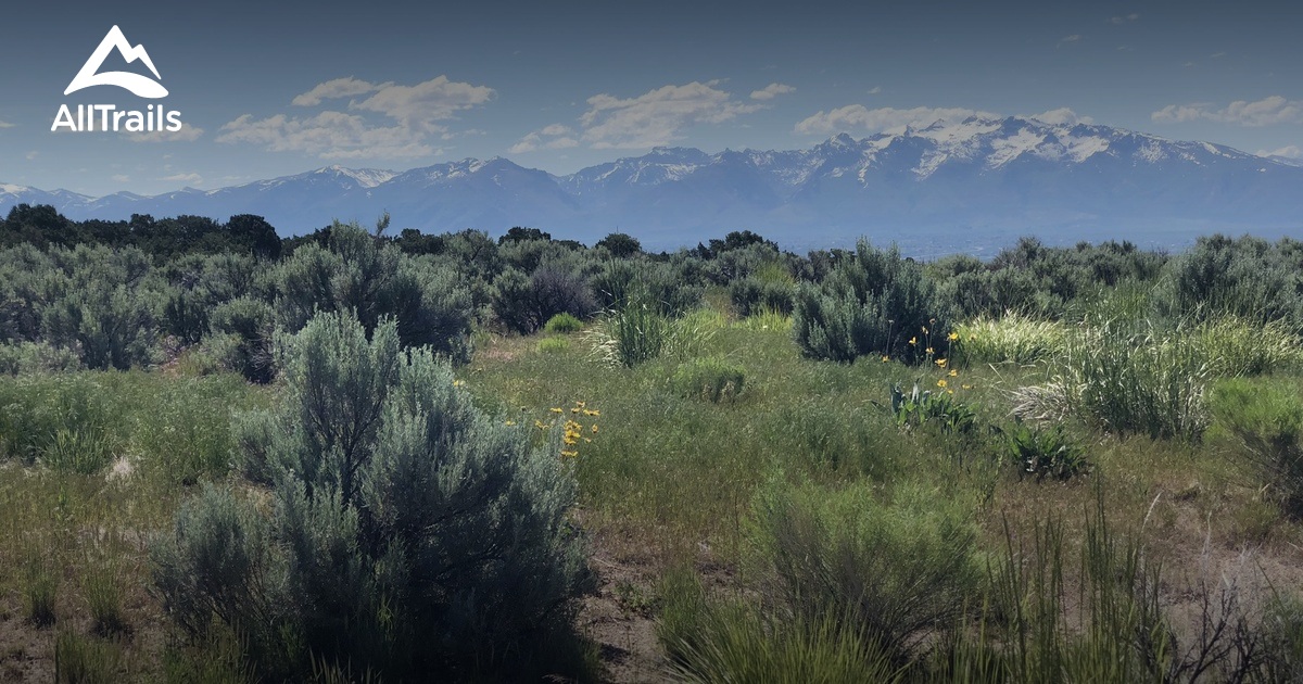 Long-distance Running Trails | List | AllTrails