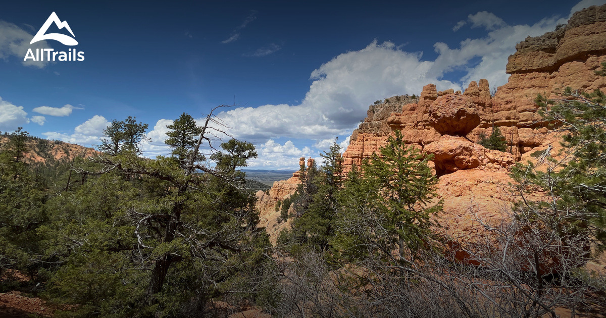 Meteor Shower Trip Hikes | List | AllTrails