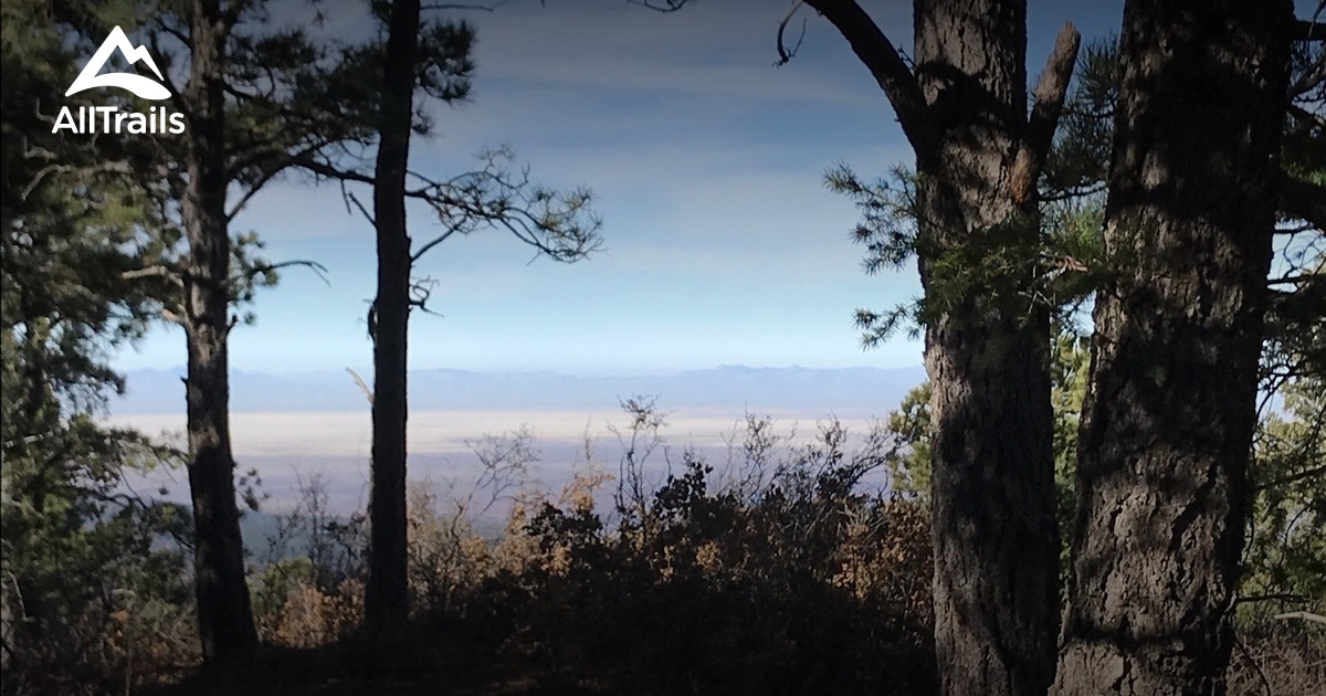 The Alpine Ridge Trail | List | AllTrails