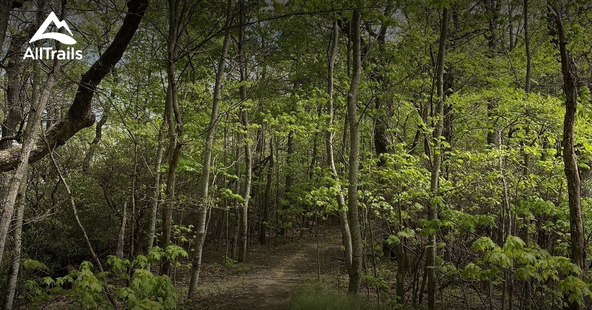 candler escape | List | AllTrails