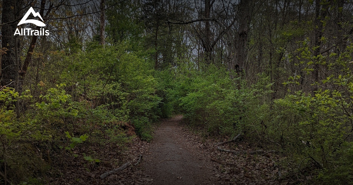 nooga hikes | List | AllTrails