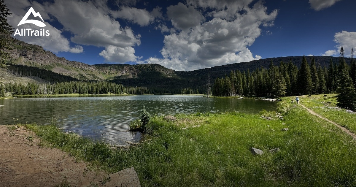 Marvine Campground | List | AllTrails