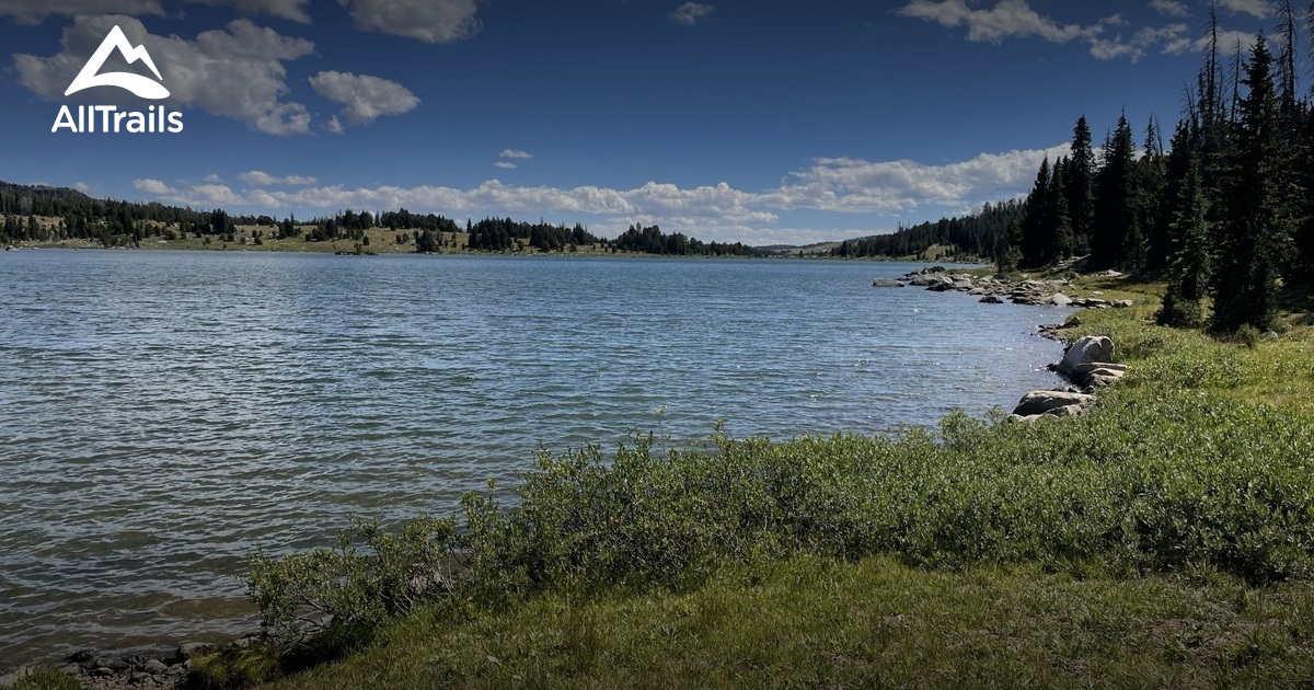 Beartooth 2020 | List | AllTrails