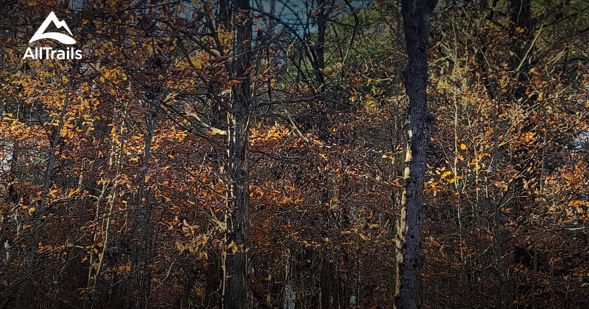 Indiana National Forest | List | AllTrails