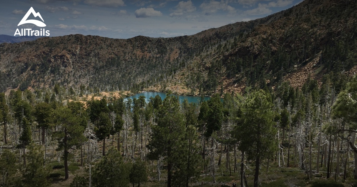 SW Oregon Hikes | List | AllTrails