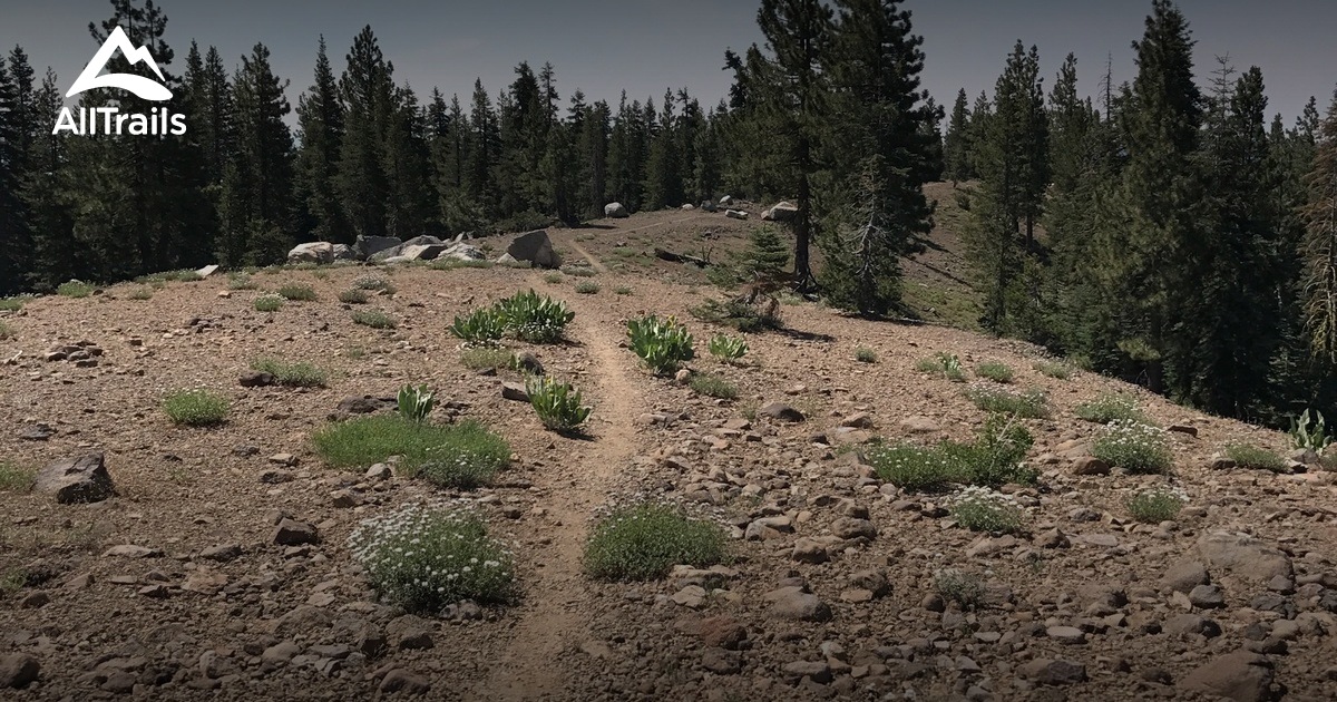 Arnold hike possibilites | List | AllTrails