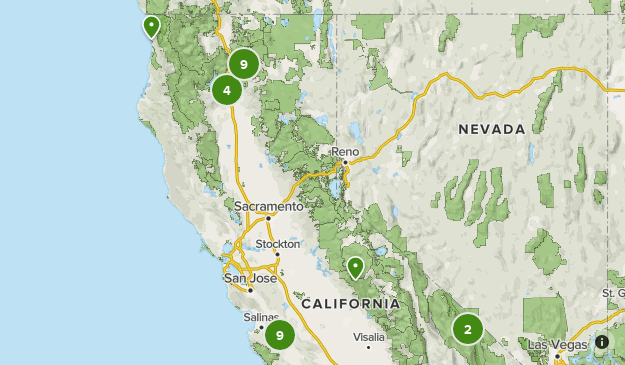California Trails | List | AllTrails