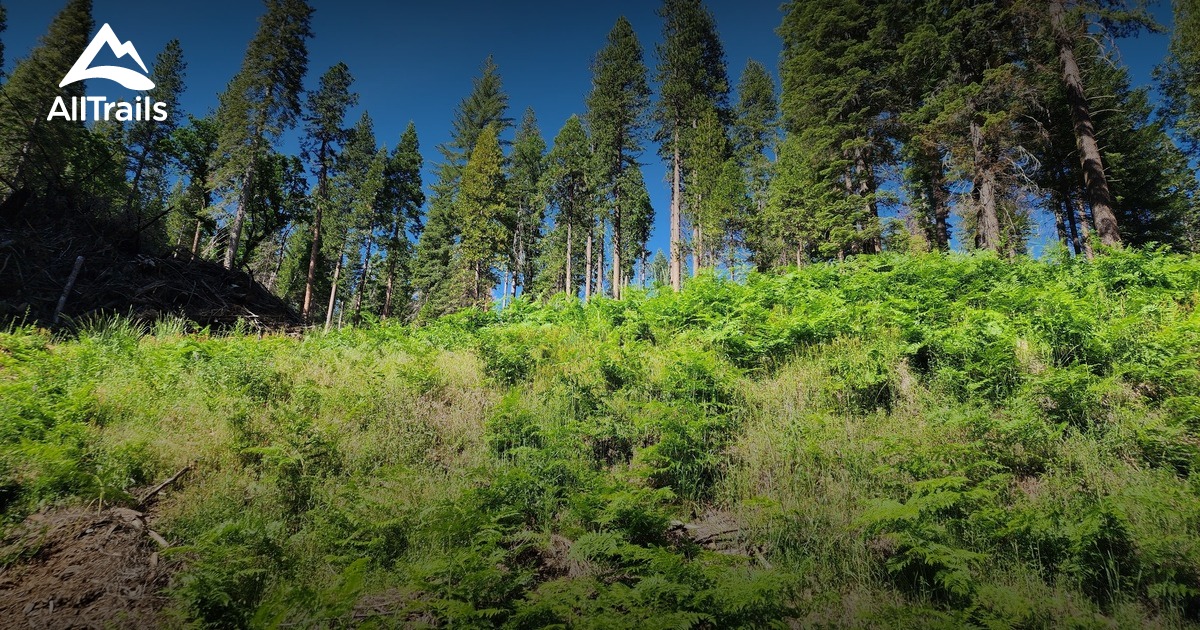 Pipi Camping | List | AllTrails