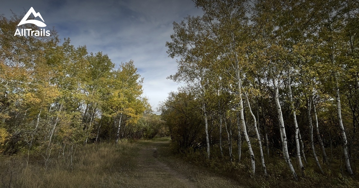 Sask Trails To Try | List | AllTrails