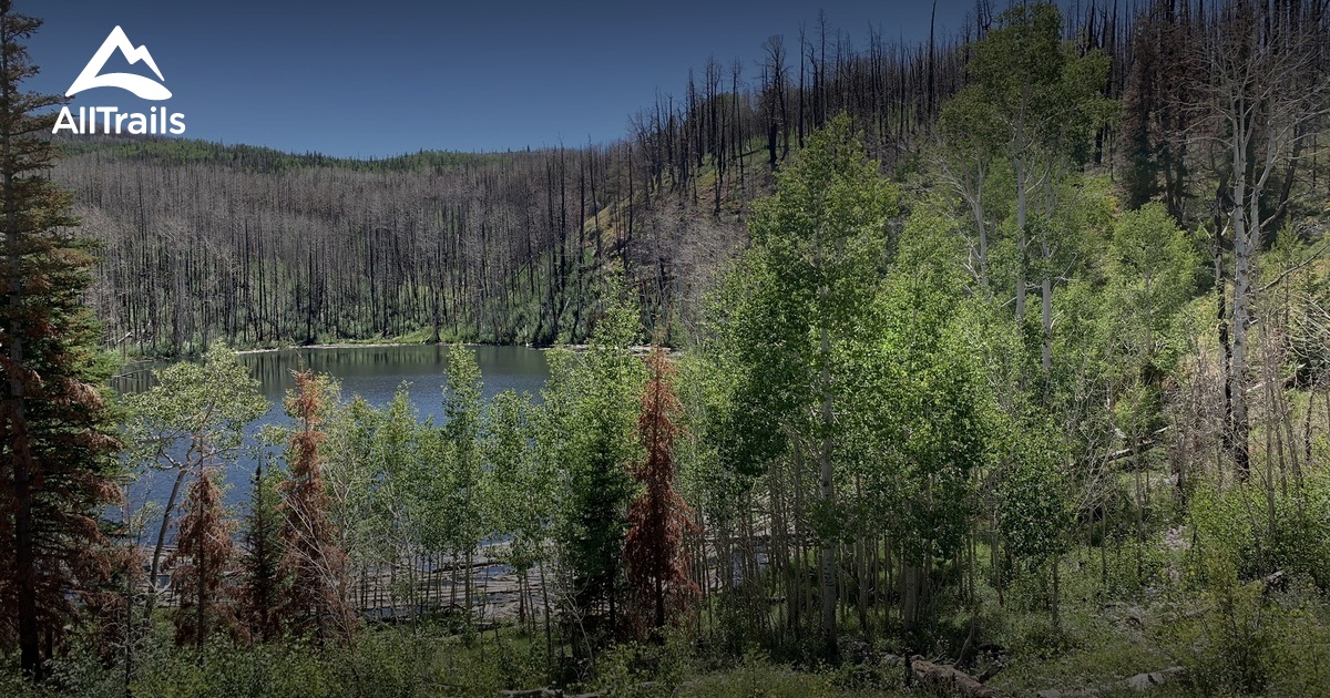 Hendrickson lake | List | AllTrails