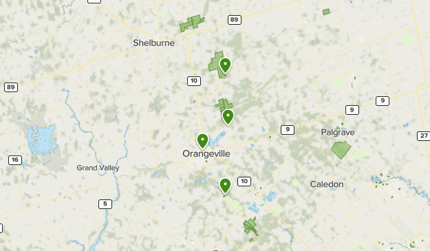 Wine walk | List | AllTrails