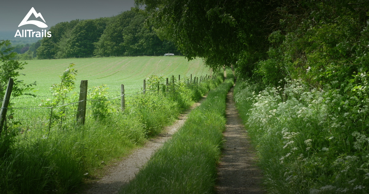 Local but a bit of a drive | List | AllTrails