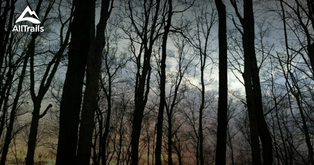 Rileyville Hiking | List | AllTrails