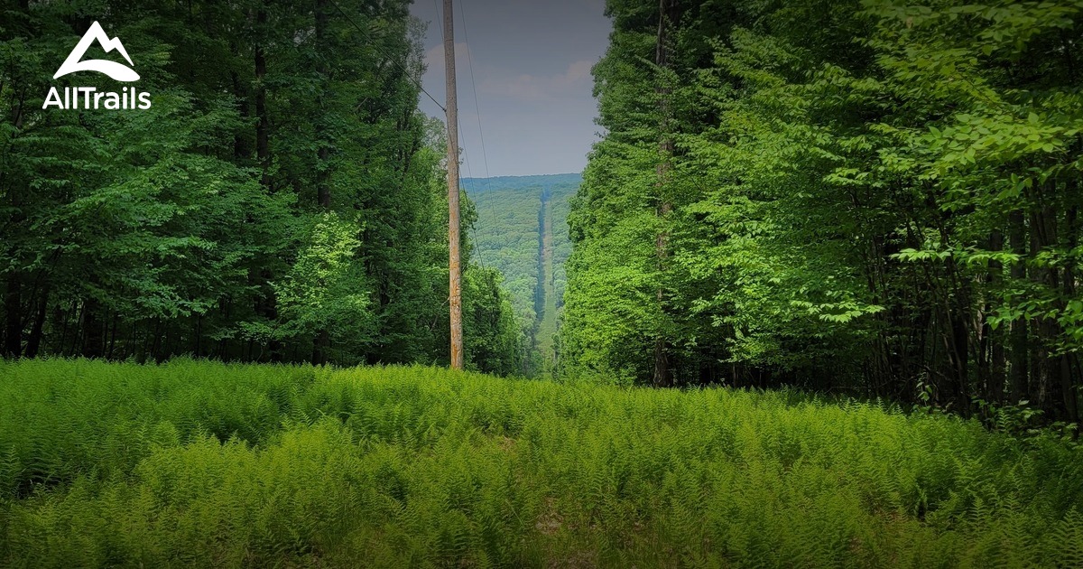 ANF | List | AllTrails