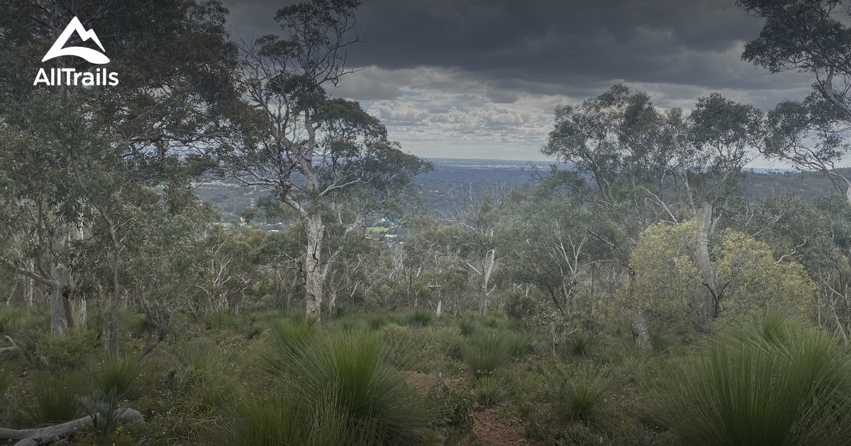 Weekly Bush Walk | List | AllTrails