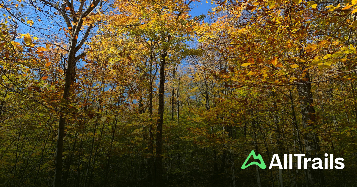 Southern Vermont | List | AllTrails