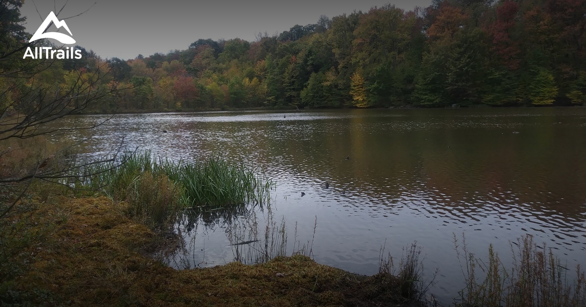 Laurel Highlands Backpacking | List | AllTrails