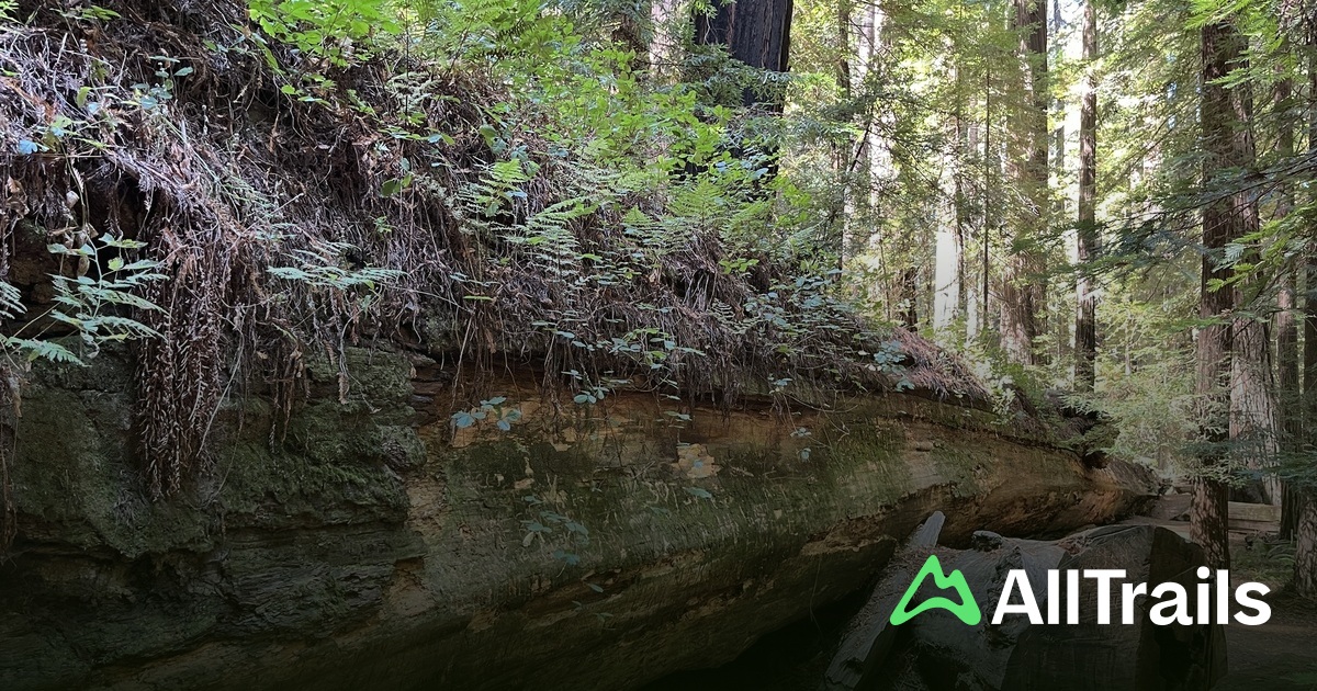 humboldt | List | AllTrails