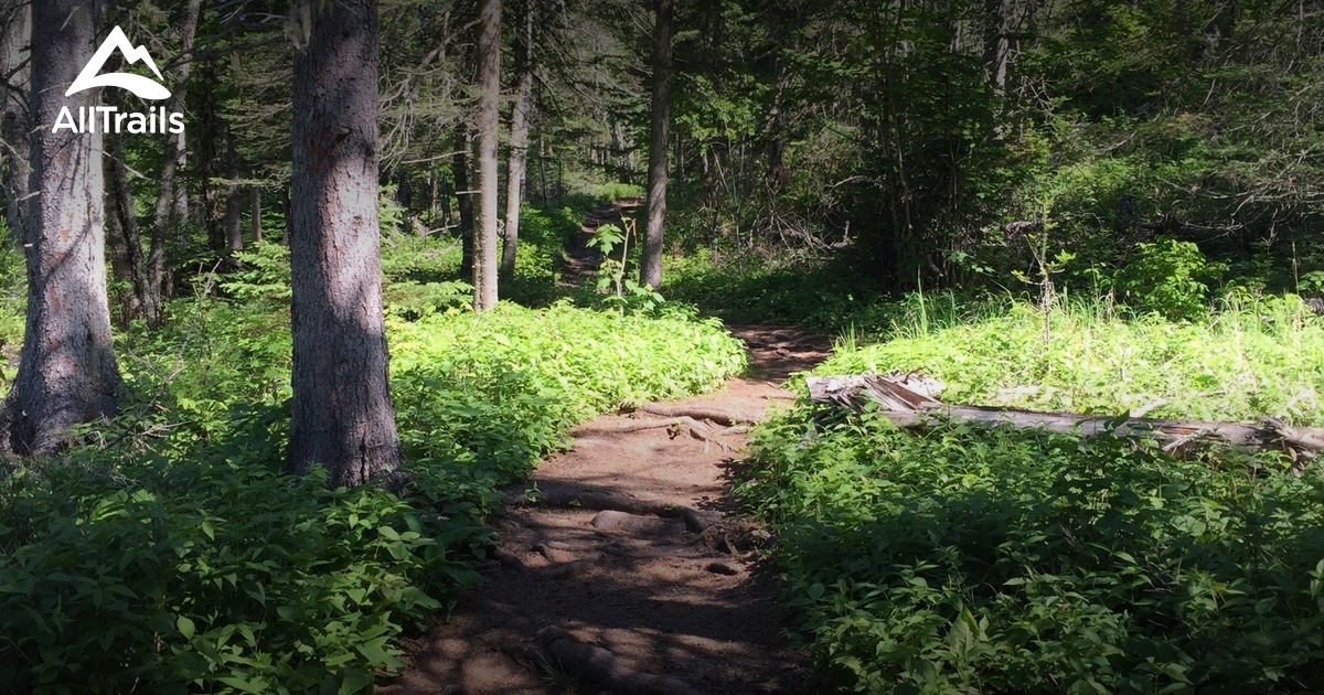 Easy hikes North Shore | List | AllTrails