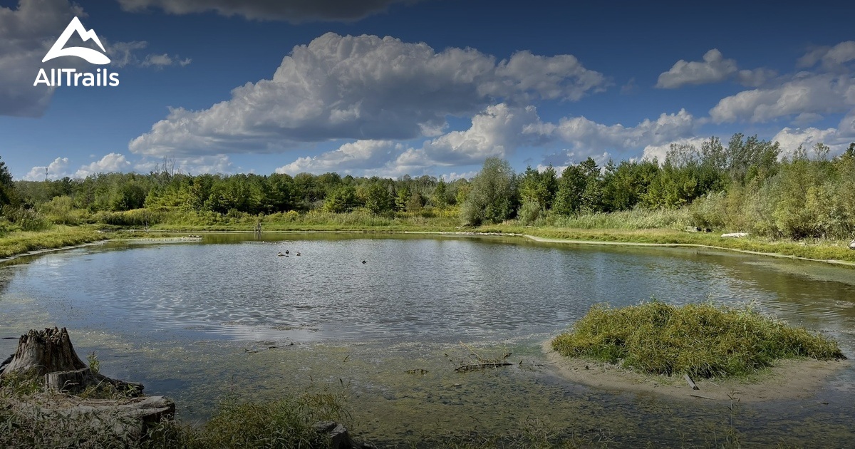 Hikes in Toronto | List | AllTrails