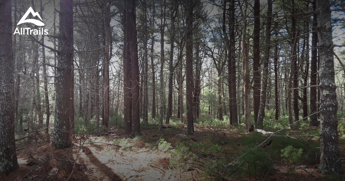 The Wareham Land Trust | List | AllTrails