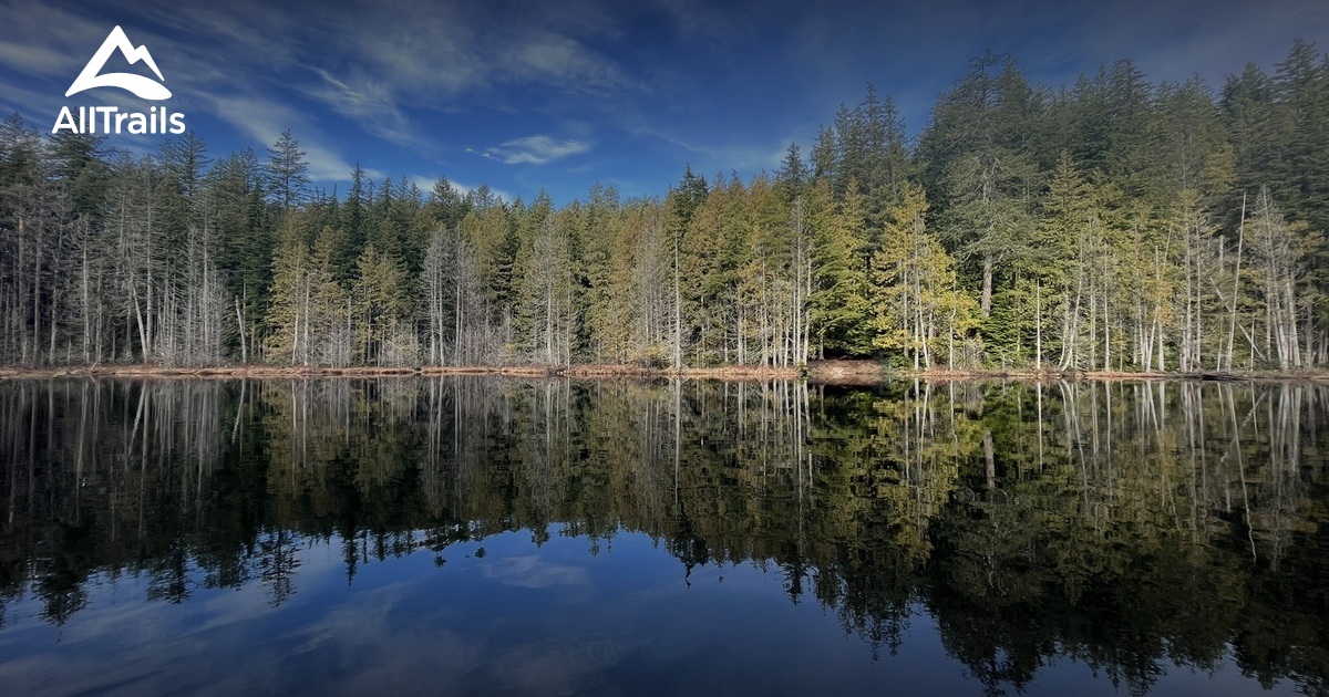 Whyte lake trail | List | AllTrails