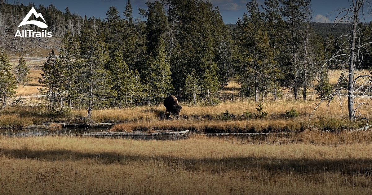 Yellowstone trails | List | AllTrails