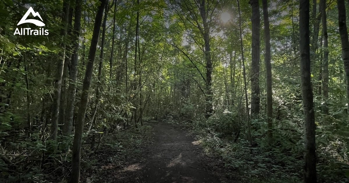 Trails near Sibbald Point park | List | AllTrails