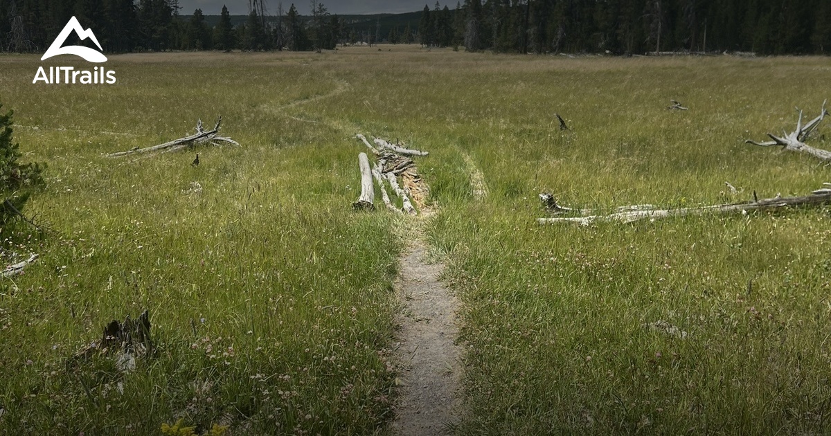 Yellowstone Light | List | AllTrails