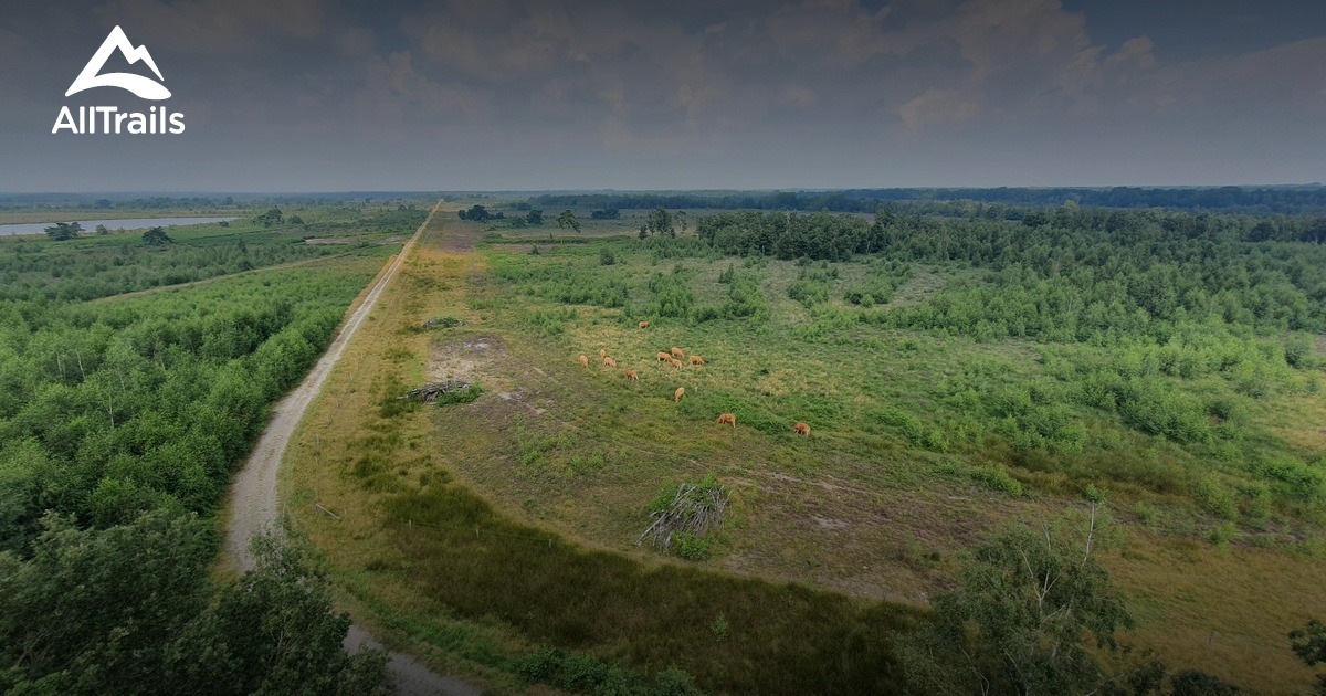 Korte route | List | AllTrails