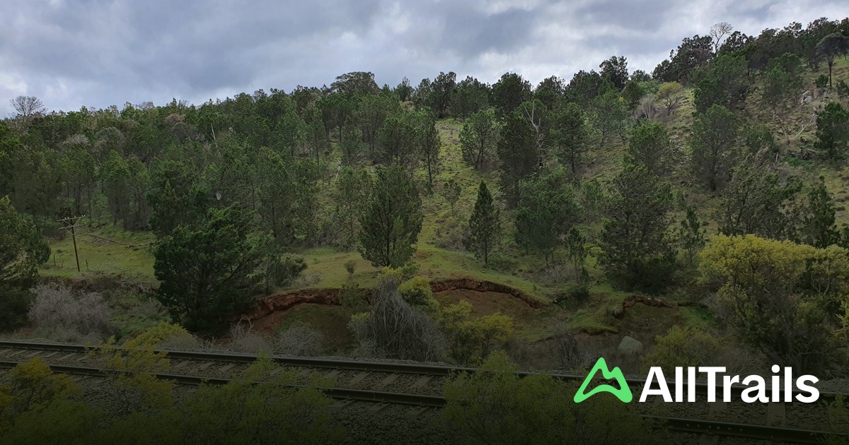 Lavender Federation Trail | List | AllTrails