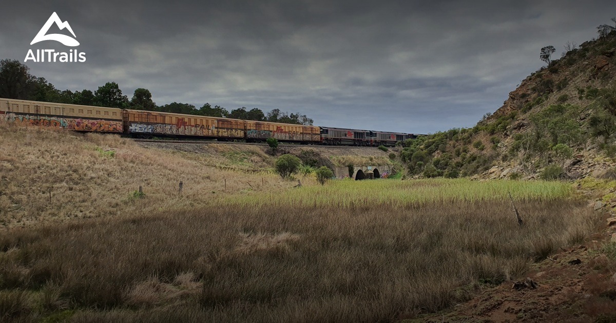 Lavender Federation Trail | List | AllTrails