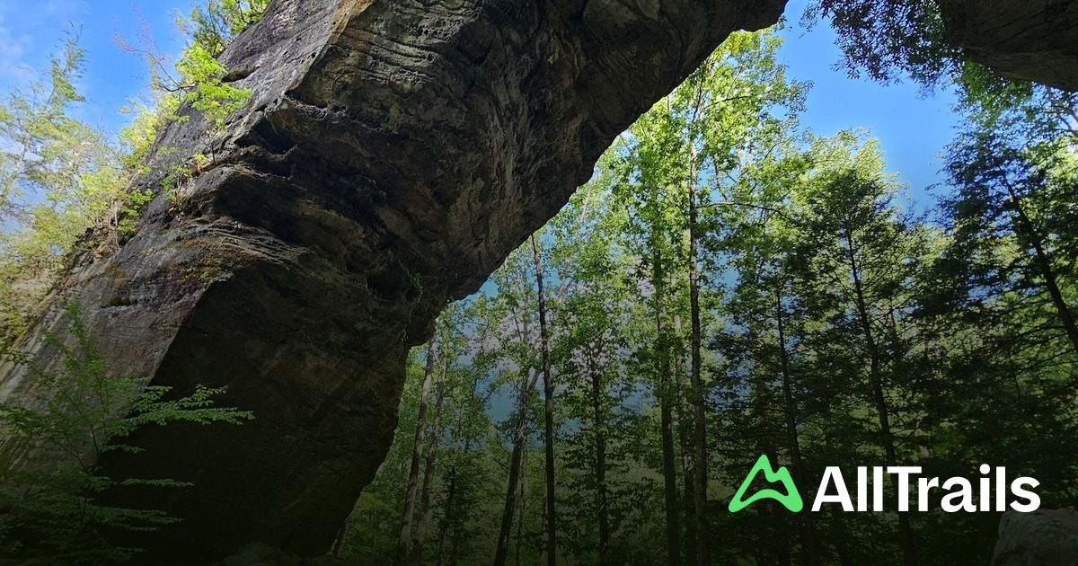 Daniel Boone Nat’l Forest (Pine Ridge, KY) | List | AllTrails
