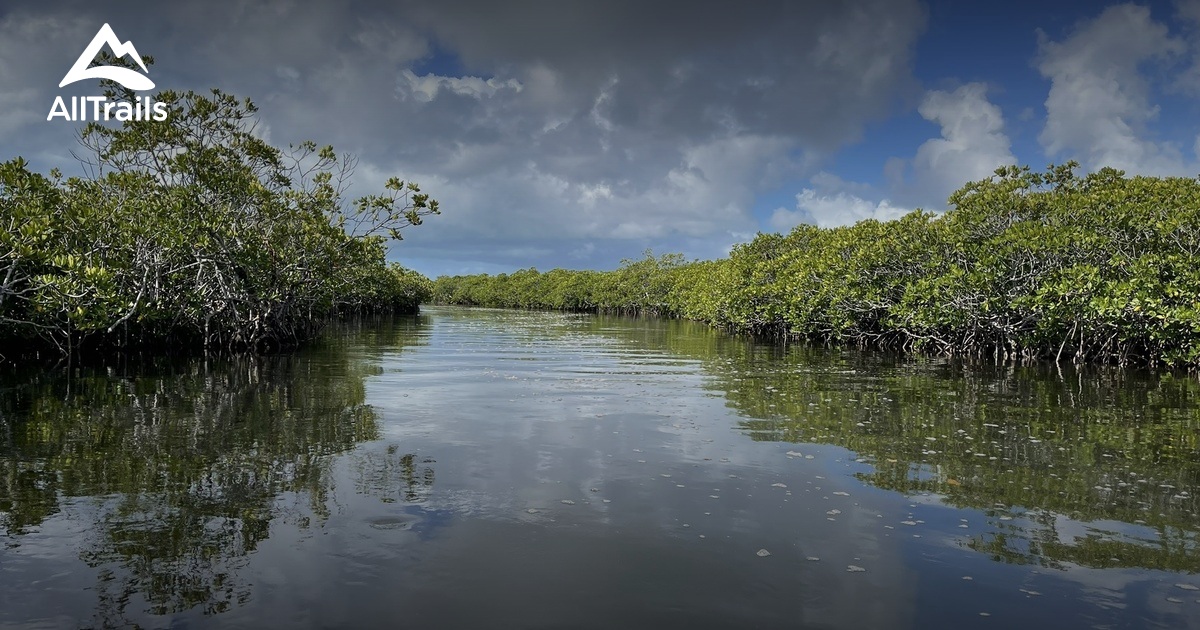 Florida Keys Trails | List | AllTrails