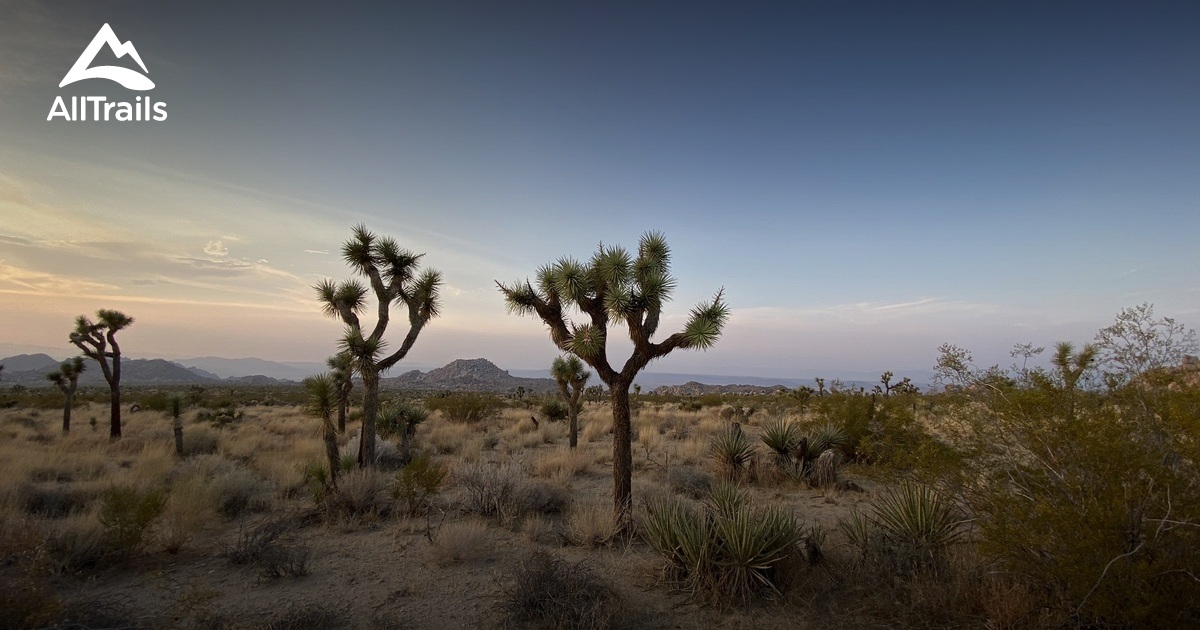 Josh tree | List | AllTrails