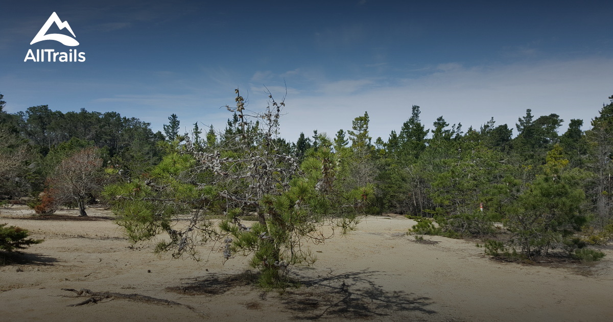 Del Monte Forest | List | AllTrails