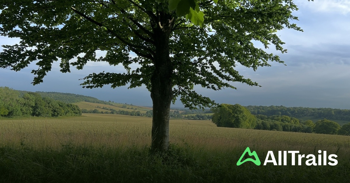 CB walk | List | AllTrails