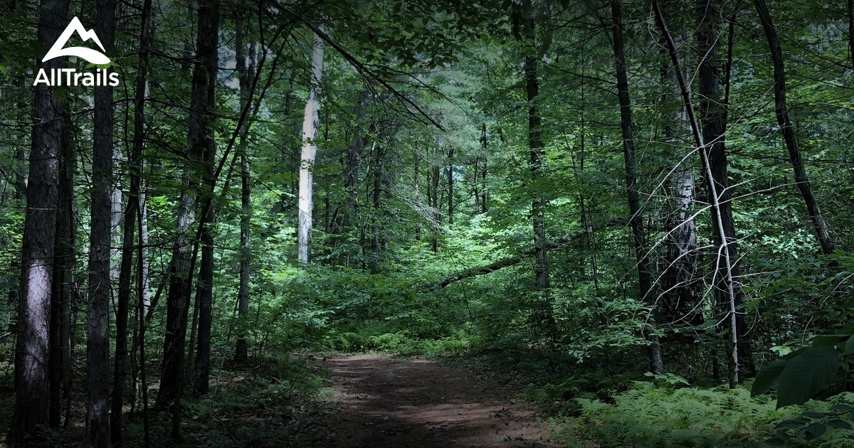 Easy for Exercise | List | AllTrails