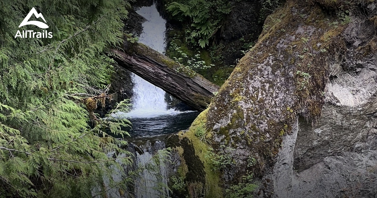 Wynoochee lake area | List | AllTrails