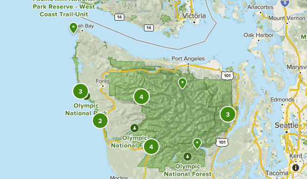 Olympic easy trails | List | AllTrails